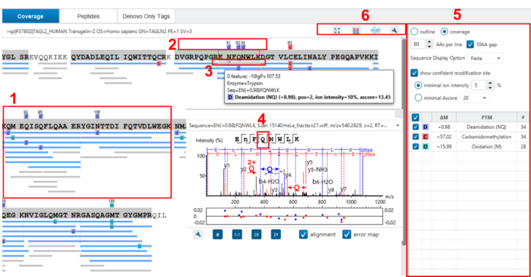 Protein Identification Walkthrough Tutorial | Bioinformatics Solutions Inc.