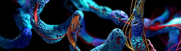 de novo Peptide Sequencing | LC-MS/MS Software | Bioinformatics Solutions Inc.