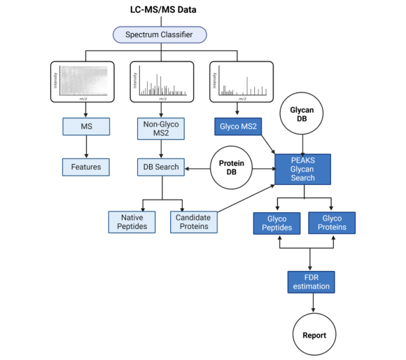 Glycan Analysis - Deep Proteomics