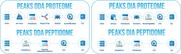 PEAKS Studio 13 - Deep Proteomics
