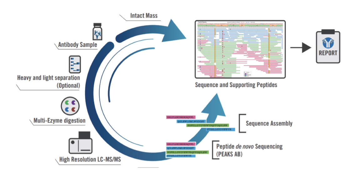 Deep AB - Deep Proteomics