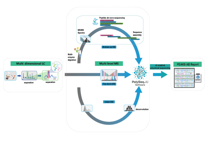 Deep AB - Deep Proteomics