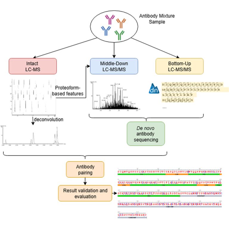 首个多克隆抗体从头测序软件！PolySeq.AI利用3种质谱技术实现99%+准确率 - Deep Proteomics